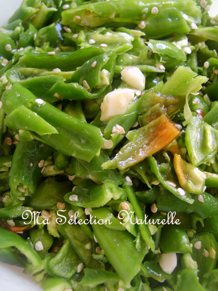 Felfel hrous : recette piment episode -1- – MA SÉLECTION NATURELLE