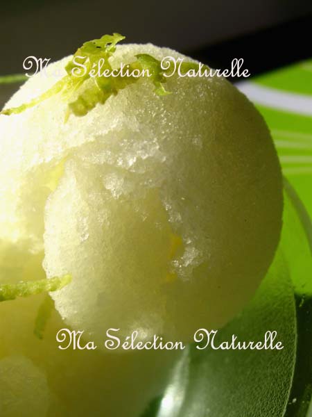 Sorbet citron facile et tellement booon! – MA SÉLECTION NATURELLE