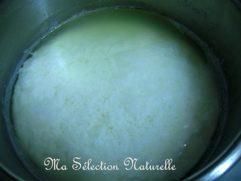 Fromage frais à tartiner maison – MA SÉLECTION NATURELLE