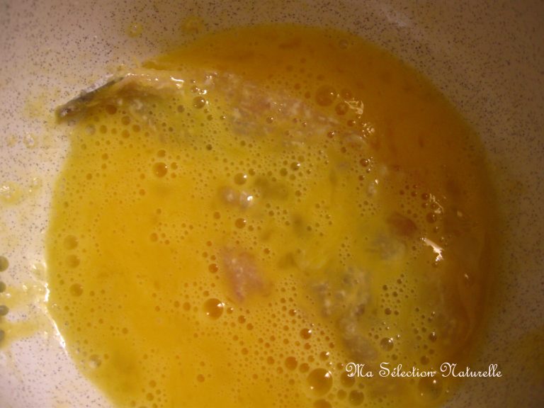 Merlan pané et Merlan frit ( merlan en colère) – MA SÉLECTION NATURELLE